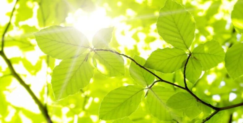 Best Tips to Shoot Cinematic Videos with Your iPhone | Filming Tricks